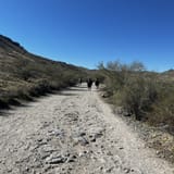Pima Wash Trail to West Loop, Arizona - 2,085 Reviews, Map | AllTrails