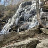 Yellow Branch Falls Trail, South Carolina - 2,514 Reviews, Map | AllTrails