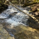 Yellow Branch Falls Trail, South Carolina - 2,514 Reviews, Map | AllTrails