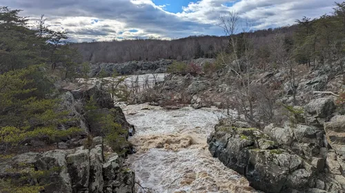 Best Hikes and Trails in Potomac Overlook Regional Park | AllTrails