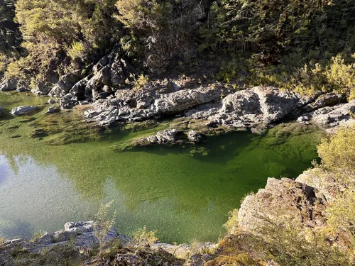 Best Hikes and Trails in Pelorus Bridge Scenic Reserve | AllTrails