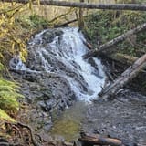 Mima Falls East Trail, Washington - 1,730 Reviews, Map | AllTrails