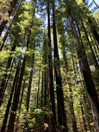 Best Hikes and Trails in Stanley State Forest | AllTrails