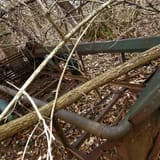 Anchorage Trail, Kentucky - 765 Reviews, Map | AllTrails