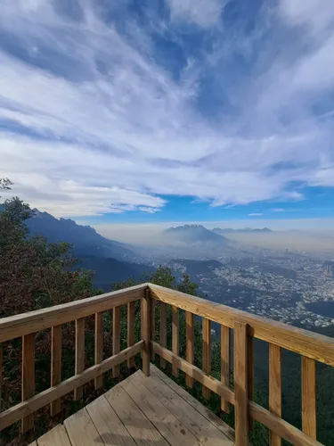 10 Best Wild Flowers Trails in Parque Ecológico Chipinque | AllTrails