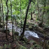 Coomera Circuit Walk, Queensland, Australia - 1,093 Reviews, Map ...