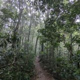 Coomera Circuit Walk, Queensland, Australia - 1,087 Reviews, Map ...