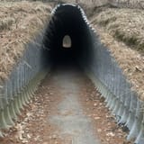 Severance Mountain, New York - 967 Reviews, Map | AllTrails