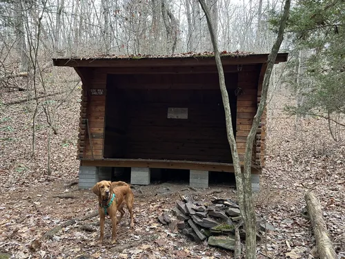 Best Hikes and Trails in Green Ridge State Forest | AllTrails