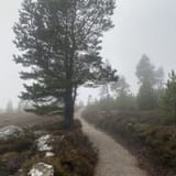 Abriachan Forest and Carn na Leitire, Highlands, Scotland - 174 Reviews ...