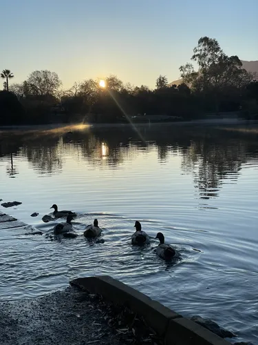 Best Hikes and Trails in Newhall Community Park | AllTrails