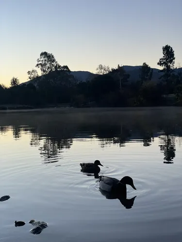 Best Hikes and Trails in Newhall Community Park | AllTrails