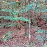 Center Parcs Longleat Forest Circular, Wiltshire, England - 115 Reviews ...