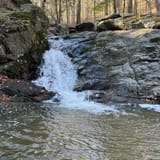 Cascade Falls Loop Trail , Maryland - 2,756 Reviews, Map | AllTrails