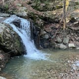 Cascade Falls Loop Trail , Maryland - 2,756 Reviews, Map | AllTrails