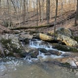 Cascade Falls Loop Trail , Maryland - 2,756 Reviews, Map | AllTrails