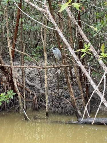 Best Hikes and Trails in Historic Virginia Key Beach Park | AllTrails