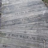 Cato's Ridge, Massachusetts - 476 Reviews, Map | AllTrails