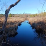 Cato's Ridge, Massachusetts - 517 Reviews, Map | AllTrails
