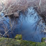 Cato's Ridge, Massachusetts - 517 Reviews, Map | AllTrails