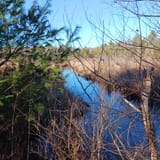 Cato's Ridge, Massachusetts - 517 Reviews, Map | AllTrails