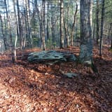 Cato's Ridge, Massachusetts - 517 Reviews, Map | AllTrails