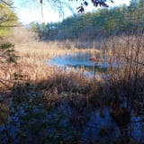 Cato's Ridge, Massachusetts - 517 Reviews, Map | AllTrails