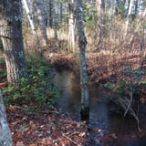 Cato's Ridge, Massachusetts - 517 Reviews, Map | AllTrails