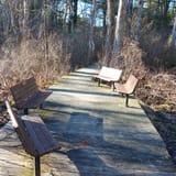 Cato's Ridge, Massachusetts - 517 Reviews, Map | AllTrails