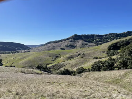Best Hikes and Trails in Johnson Ranch Open Space | AllTrails