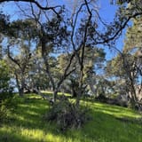 Redtail Loop to Arastradero Creek Loop, California - 1,845 Reviews, Map ...