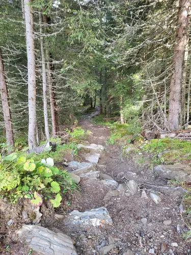 Best Hikes and Trails in Parsonz | AllTrails