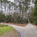 Lake Parker Park, Florida - 366 Reviews, Map | AllTrails