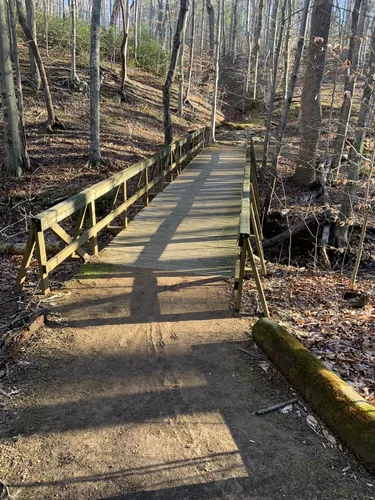 Best Hikes and Trails in Explore Park | AllTrails