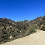 Runyon Canyon Trail, California - 7,766 Reviews, Map | AllTrails