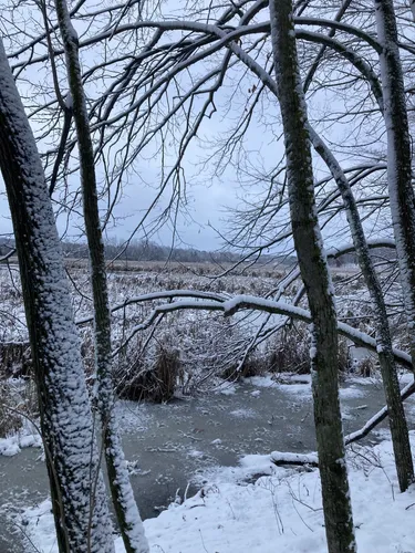 Best Hikes and Trails in Kettle Moraine State Forest Loew Lake Unit ...