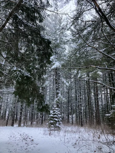 Best Hikes and Trails in Kettle Moraine State Forest Loew Lake Unit ...