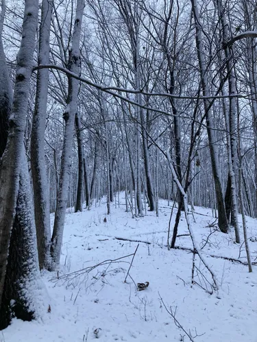 Best Hikes and Trails in Kettle Moraine State Forest Loew Lake Unit ...