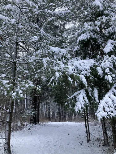 Best Hikes and Trails in Kettle Moraine State Forest Loew Lake Unit ...