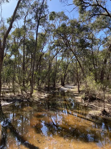 Best Hikes and Trails in Tooborac Nature Conservation Reserve | AllTrails