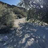 Fortuna Wash to Box Canyons and Petroglyphs, Arizona - 238 Reviews, Map ...