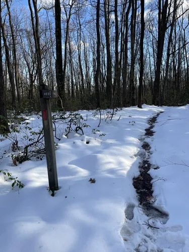 Best River Trails in Quebec Run Wild Area | AllTrails