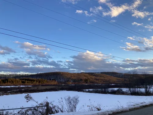 Best Walking Trails in Forbes State Forest | AllTrails