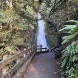 Madison Falls Trail, Washington - 1,632 Reviews, Map | AllTrails