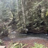 Madison Falls Trail, Washington - 1,632 Reviews, Map | AllTrails