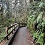 Madison Falls Trail, Washington - 1,632 Reviews, Map | AllTrails