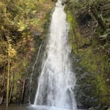 Madison Falls Trail, Washington - 1,632 Reviews, Map | AllTrails