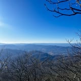 Sharp Top Trail, Virginia - 2,660 Reviews, Map | AllTrails