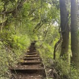 Makiki Valley Loop Trail, Oahu, Hawaii - 5,455 Reviews, Map | AllTrails