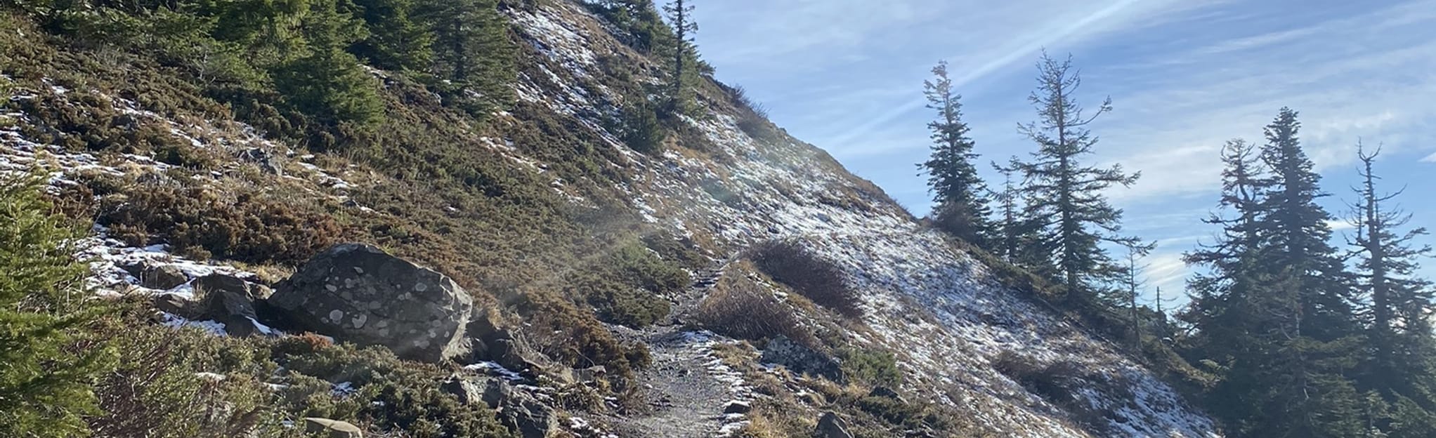 Cone Peak Trail, Oregon - 608 Reviews, Map | AllTrails